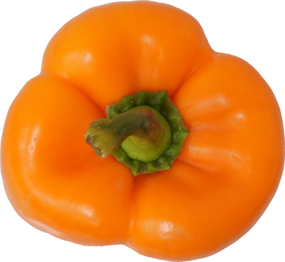 パプリカ | 食品画像のそざい屋さん｜商用可の食べ物フリー画像配布サイト
