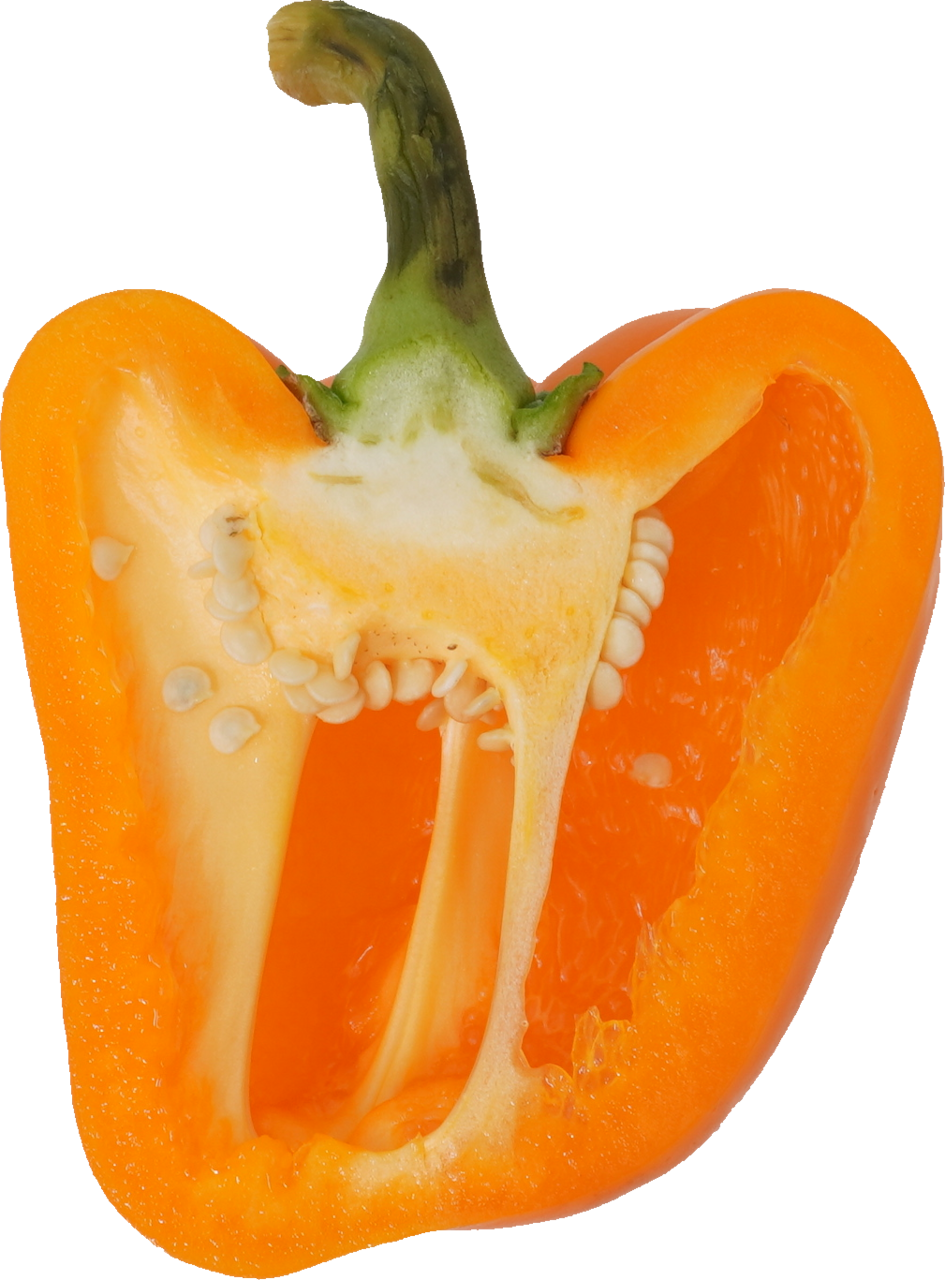 パプリカ | 食品画像のそざい屋さん｜商用可の食べ物フリー画像配布サイト